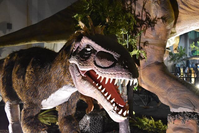 Jurassic Quest: A Dinosaur Park, Dinosaur Museum and Dinosaur World ...