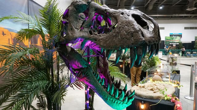 Jurassic Quest: A Dinosaur Park, Dinosaur Museum and Dinosaur World ...