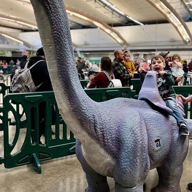 Jurassic Quest: A Dinosaur Park, Dinosaur Museum and Dinosaur World ...